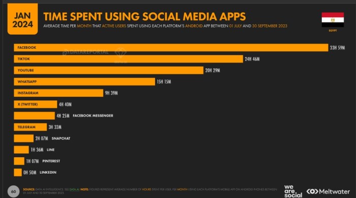 كيف تبدو صورة مصر الرقمية عام 2024؟ | Egypt14